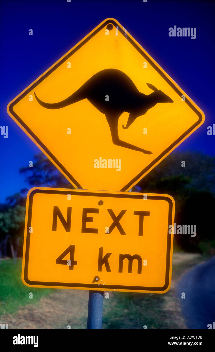 Warning sign kangaroo in queensland hi-res stock photography and images ...