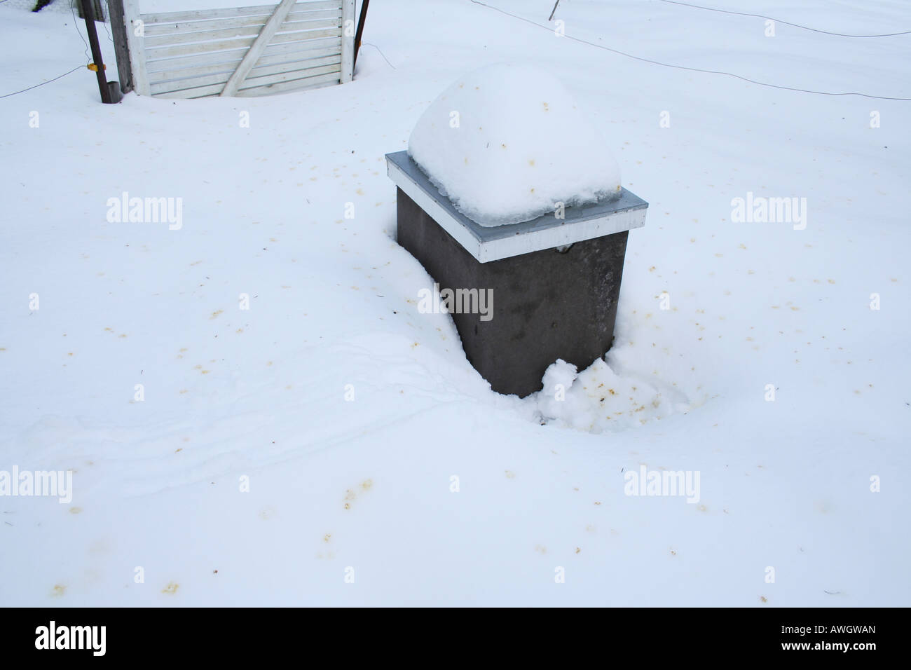 Honeybees in winter fly out on warm days to defecate. Spots of bee ...