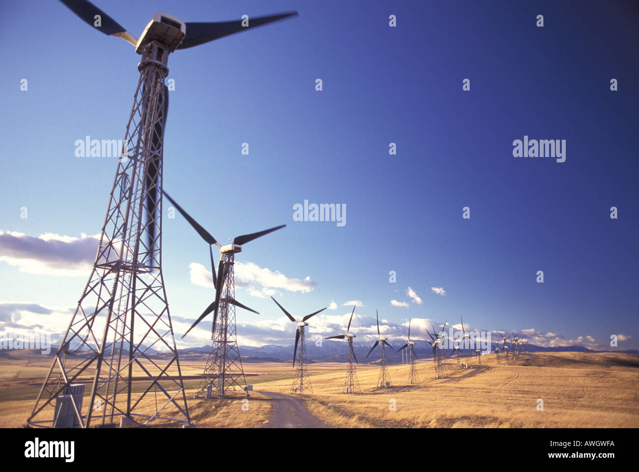 Power generating windmills near Pincher Creek Alberta Canada Stock ...