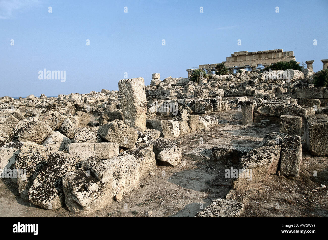 Acropolis of selinus temple hi-res stock photography and images - Alamy
