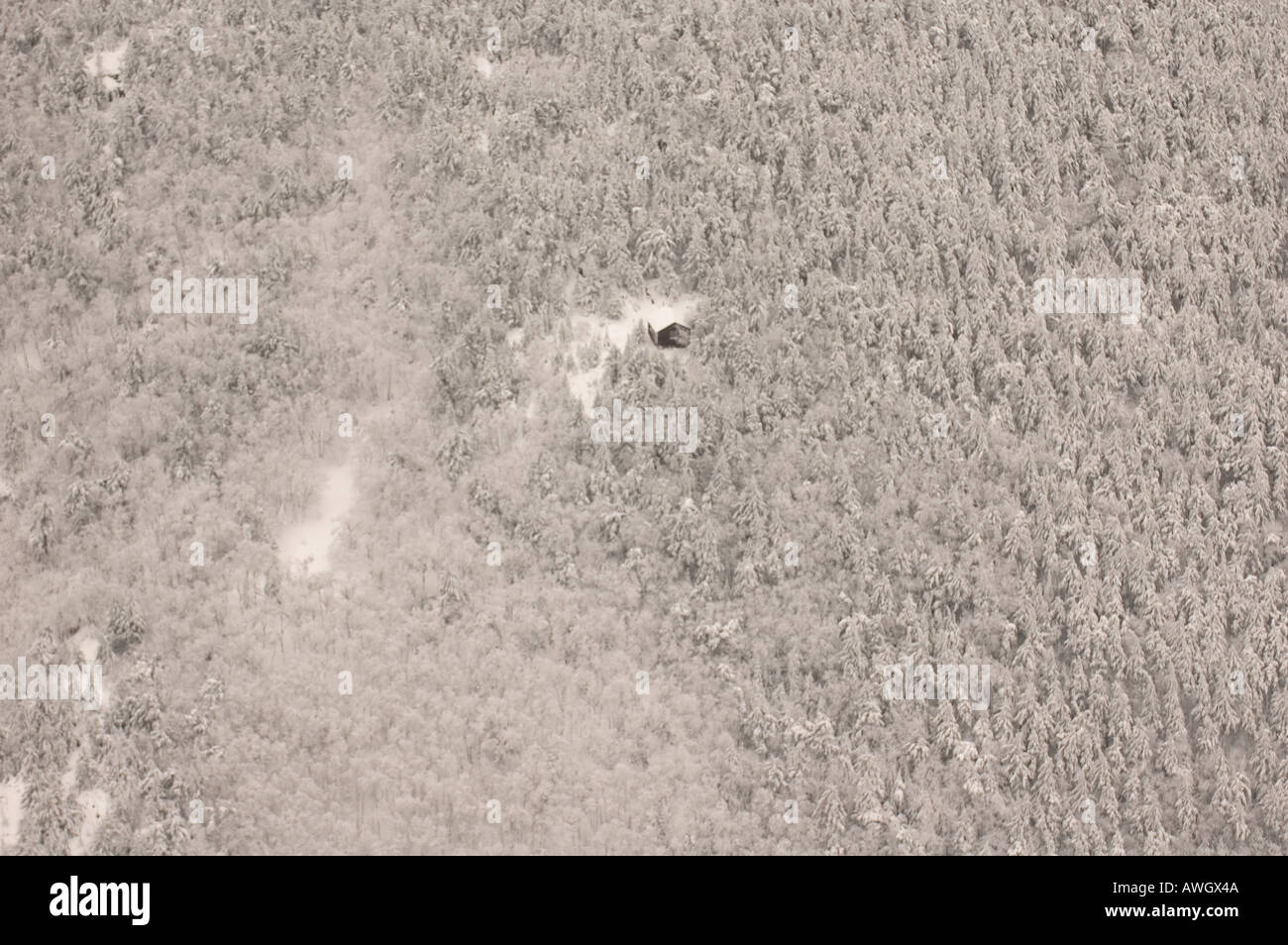A remote cabin sits in the woods in winter atop a snowy mountain peak ...