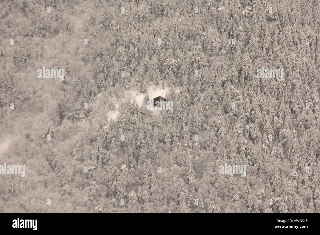 A remote cabin sits in the woods in winter atop a snowy mountain peak ...