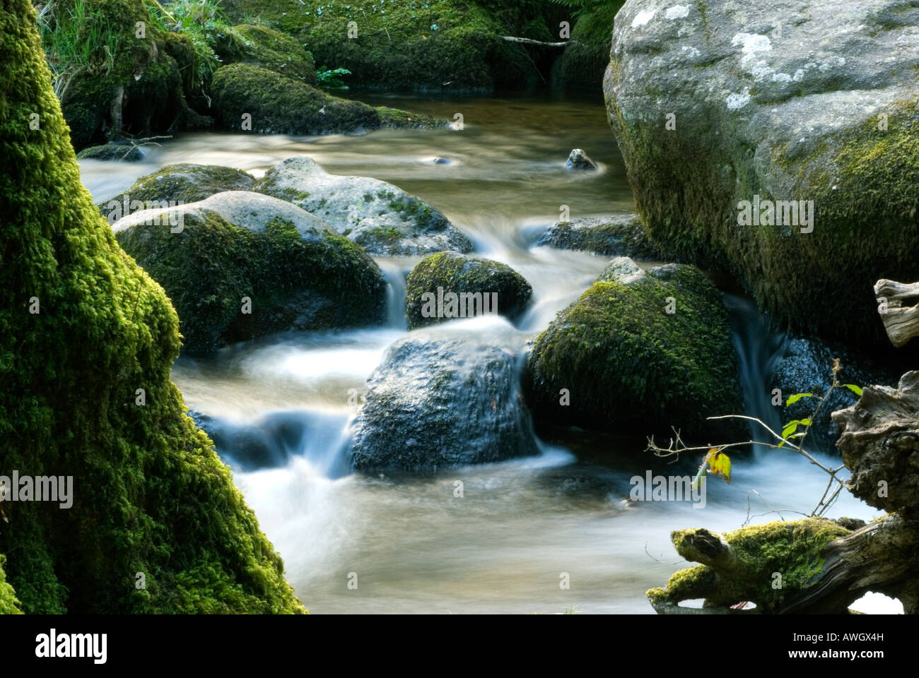 Becky fall hi-res stock photography and images - Alamy