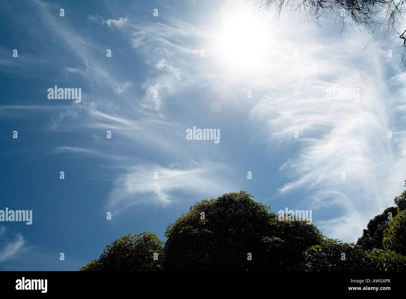 Cirrus vertebratus hi-res stock photography and images - Alamy