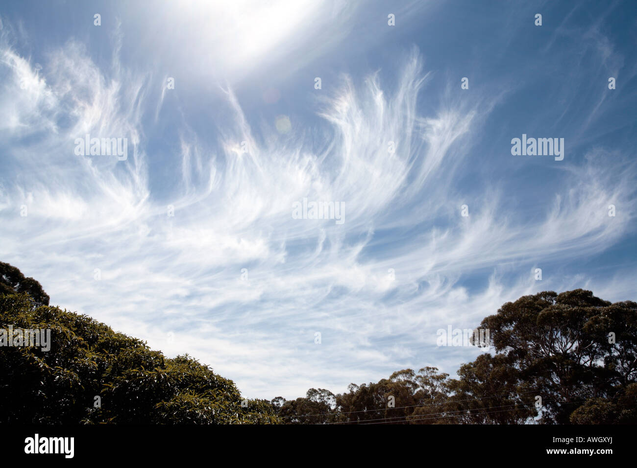 Vertebratus clouds hi-res stock photography and images - Alamy