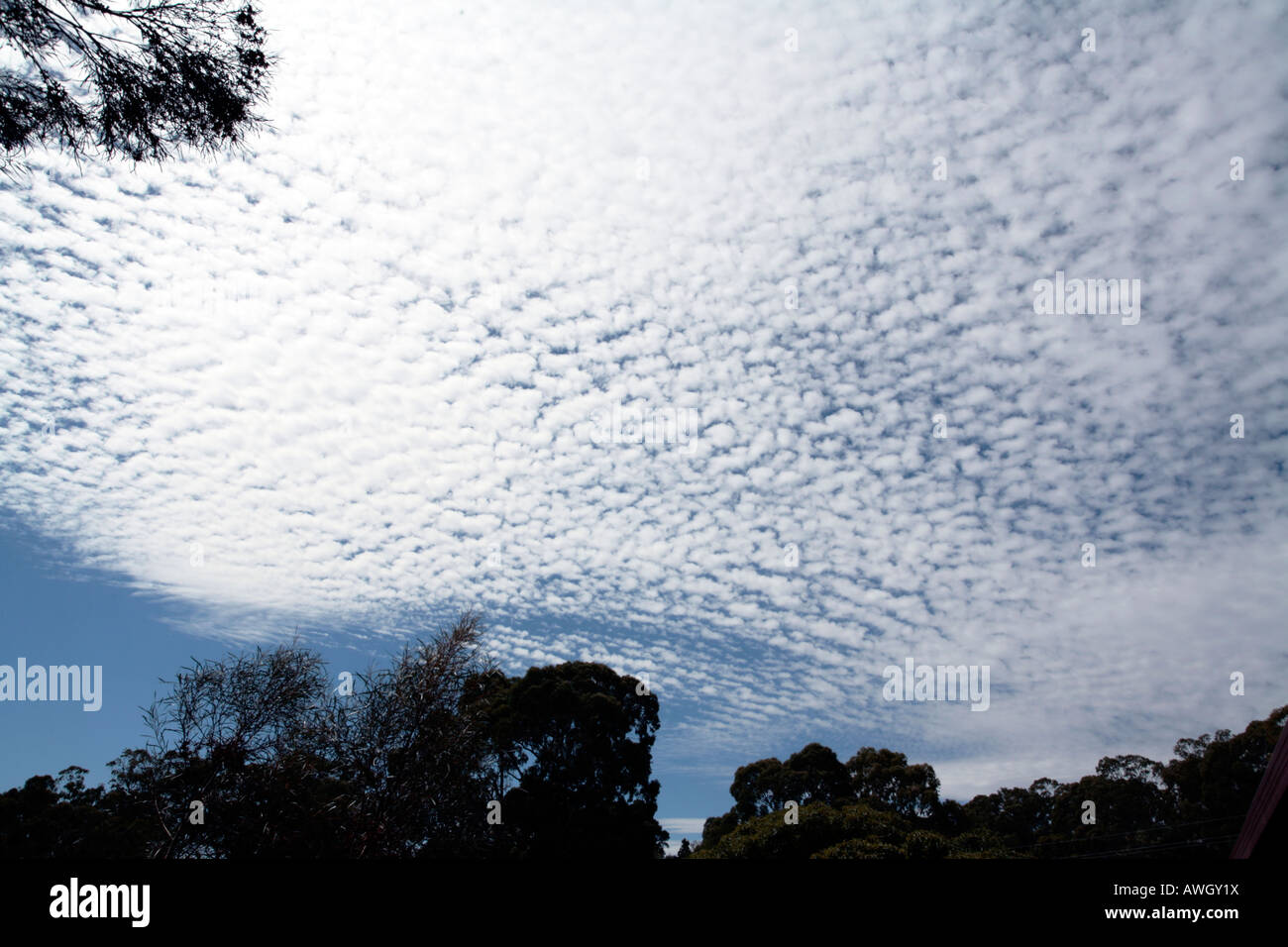 Undulatus clouds hi-res stock photography and images - Alamy