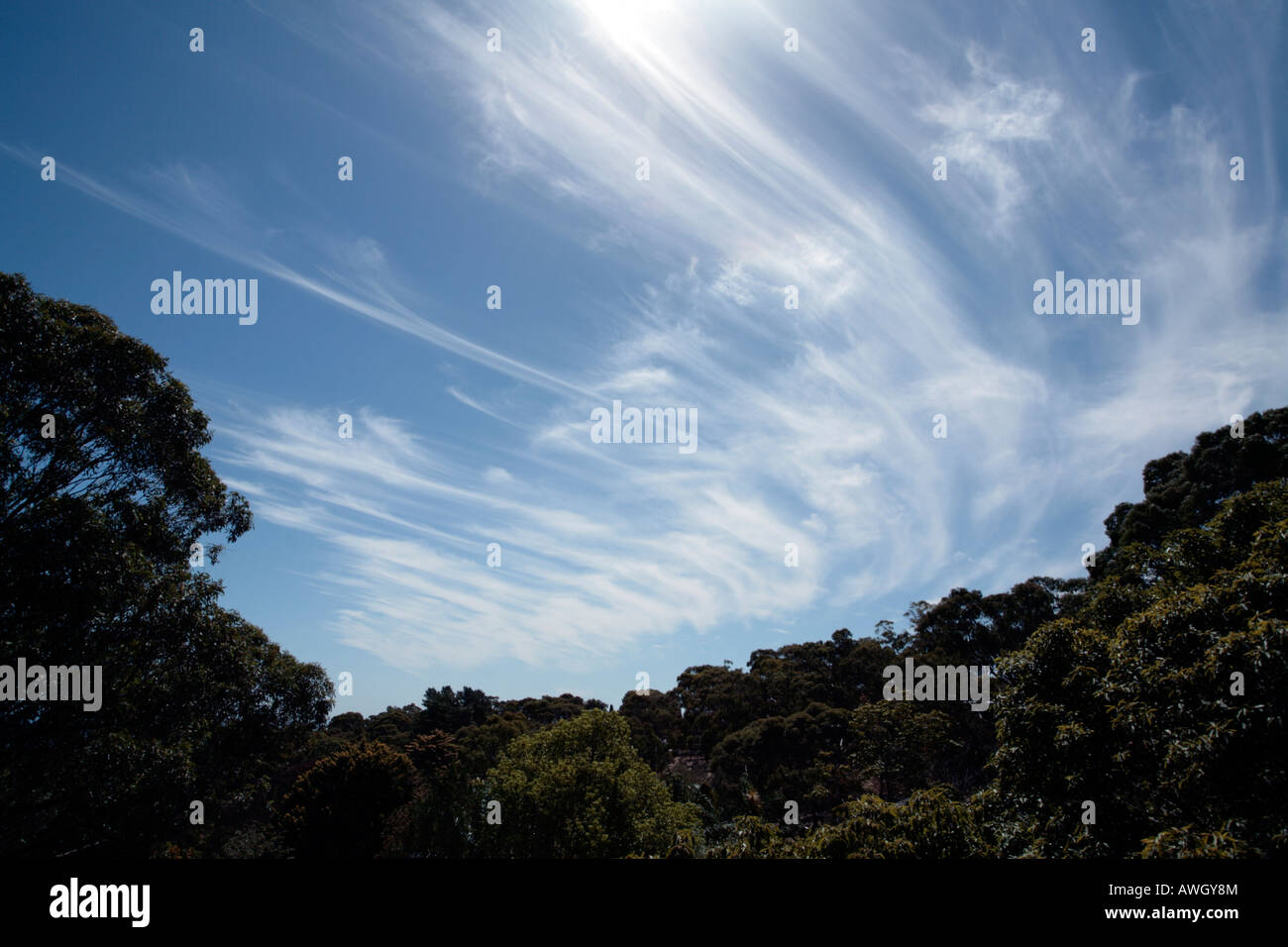 Cirrus vertebratus hi-res stock photography and images - Alamy