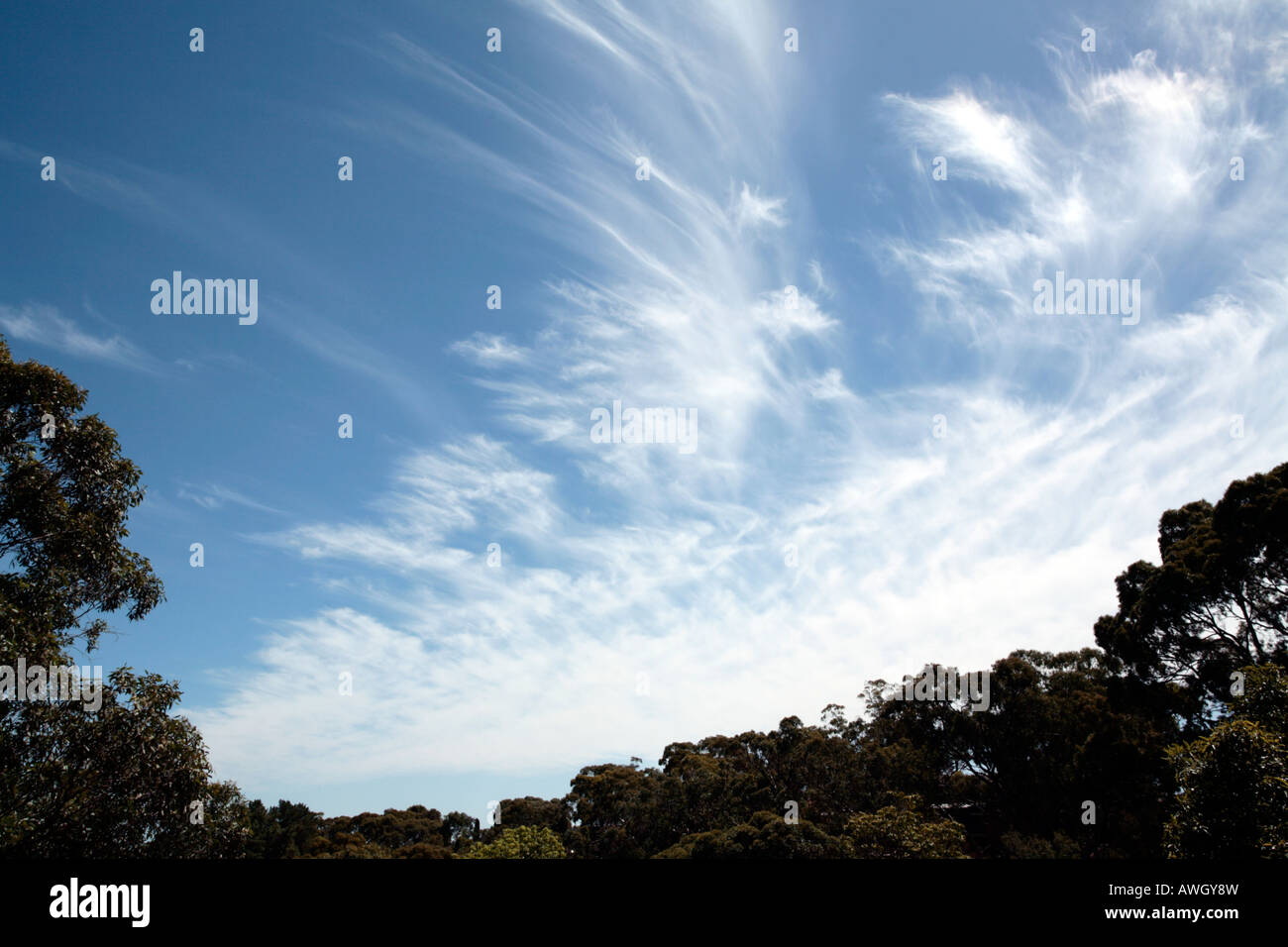 Vertebratus clouds hi-res stock photography and images - Alamy