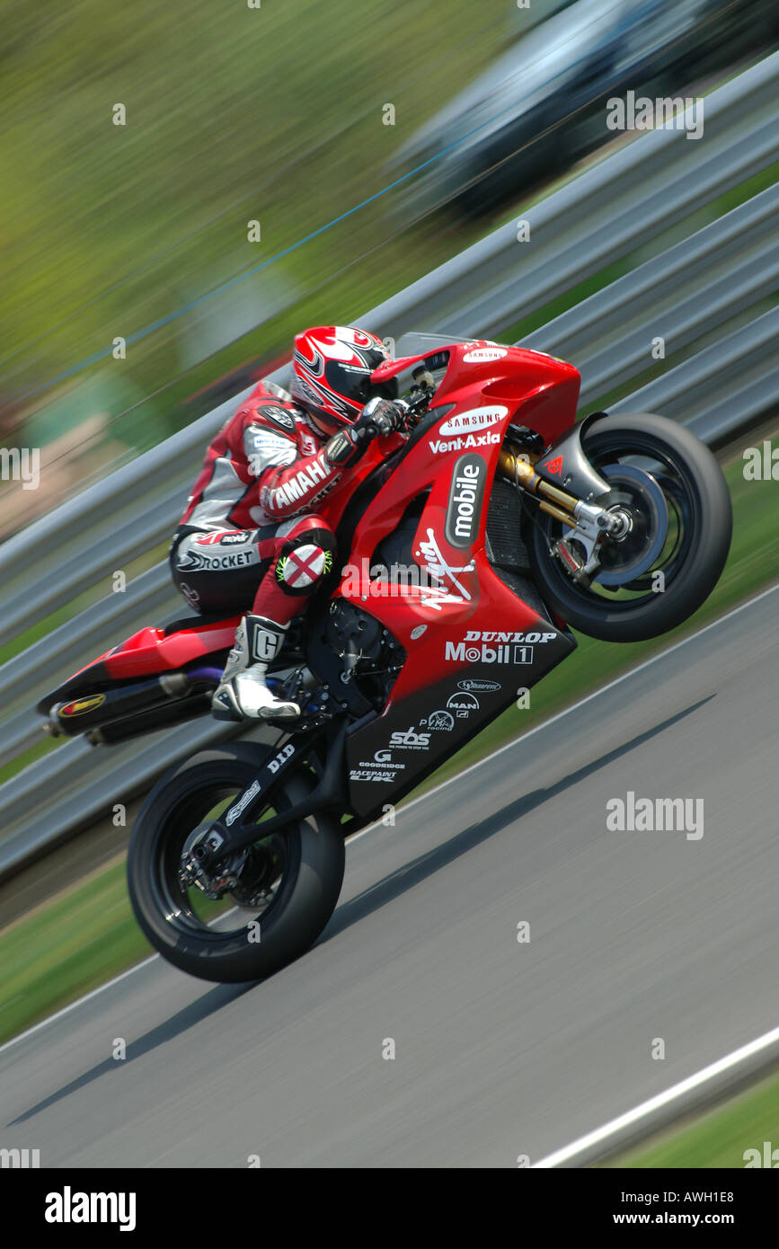 BSB Rider crests deer leap Stock Photo - Alamy