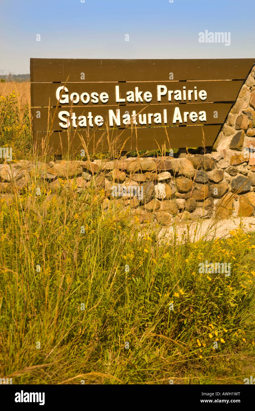 Grasses and flowers in the prairie at Goose Lake Prairie State ...