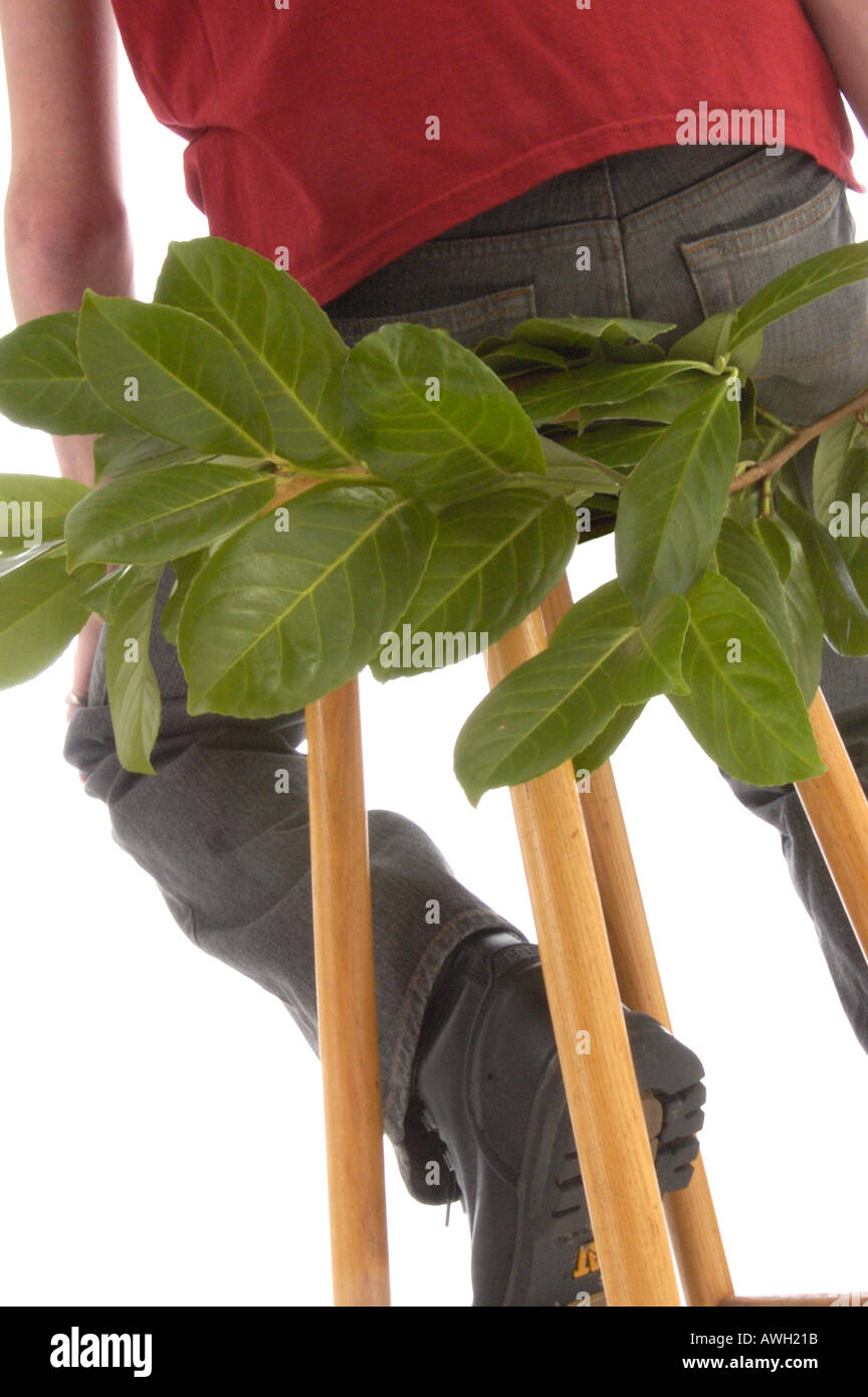 Complacent or Complacency Rest on One s Laurels Stock Photo - Alamy
