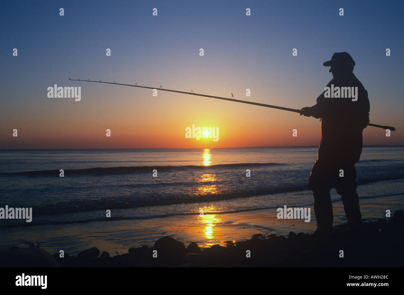 Angler Bass Fishing at Sunset Llangennith Beach Gower Peninsula South ...