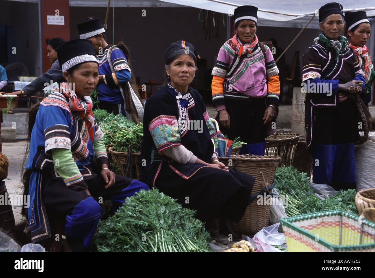 Hani women in Ailaoshan Yunnan Stock Photo - Alamy