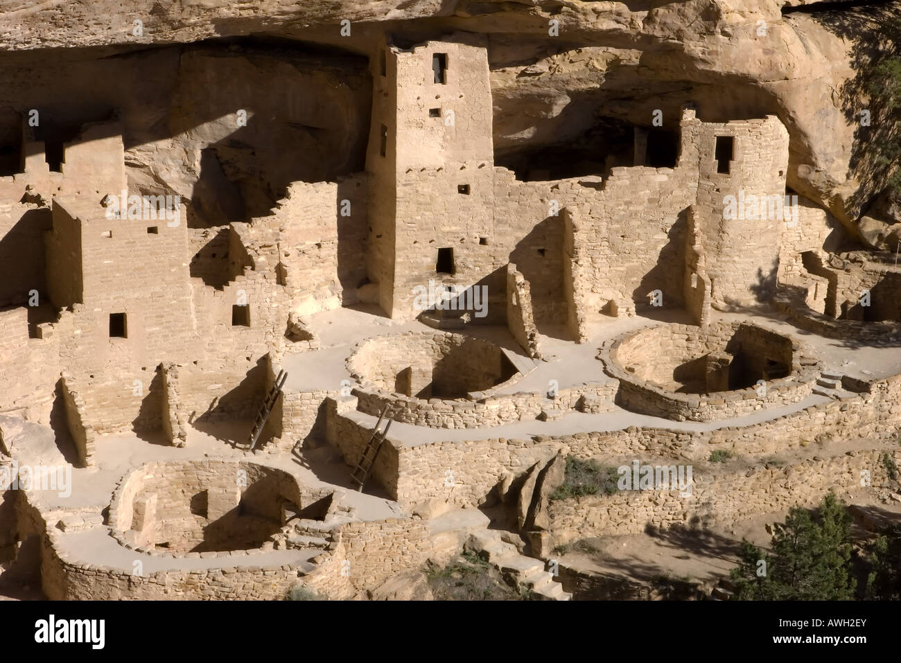 Cliff Palace, Mesa Verde, Colorado, USA Stock Photo - Alamy