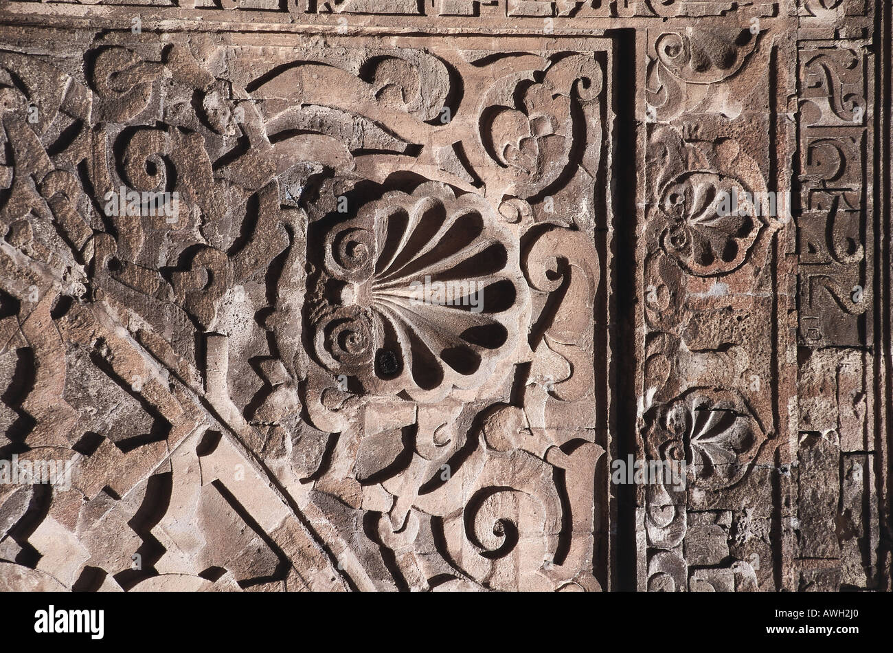 Stylized seashell feature hi-res stock photography and images - Alamy