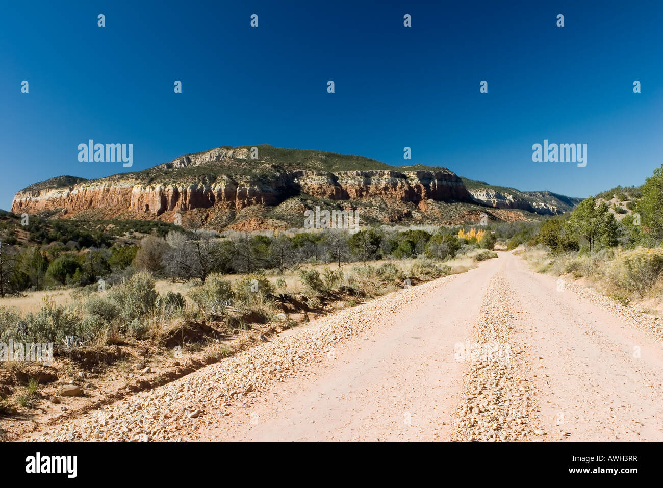 Back country road in a desert Stock Photo - Alamy