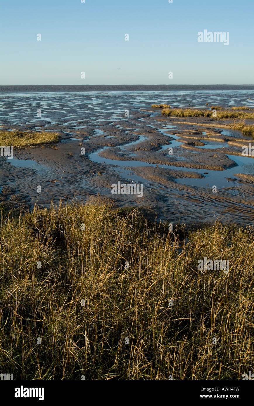 Spurn nature reserve hi-res stock photography and images - Alamy