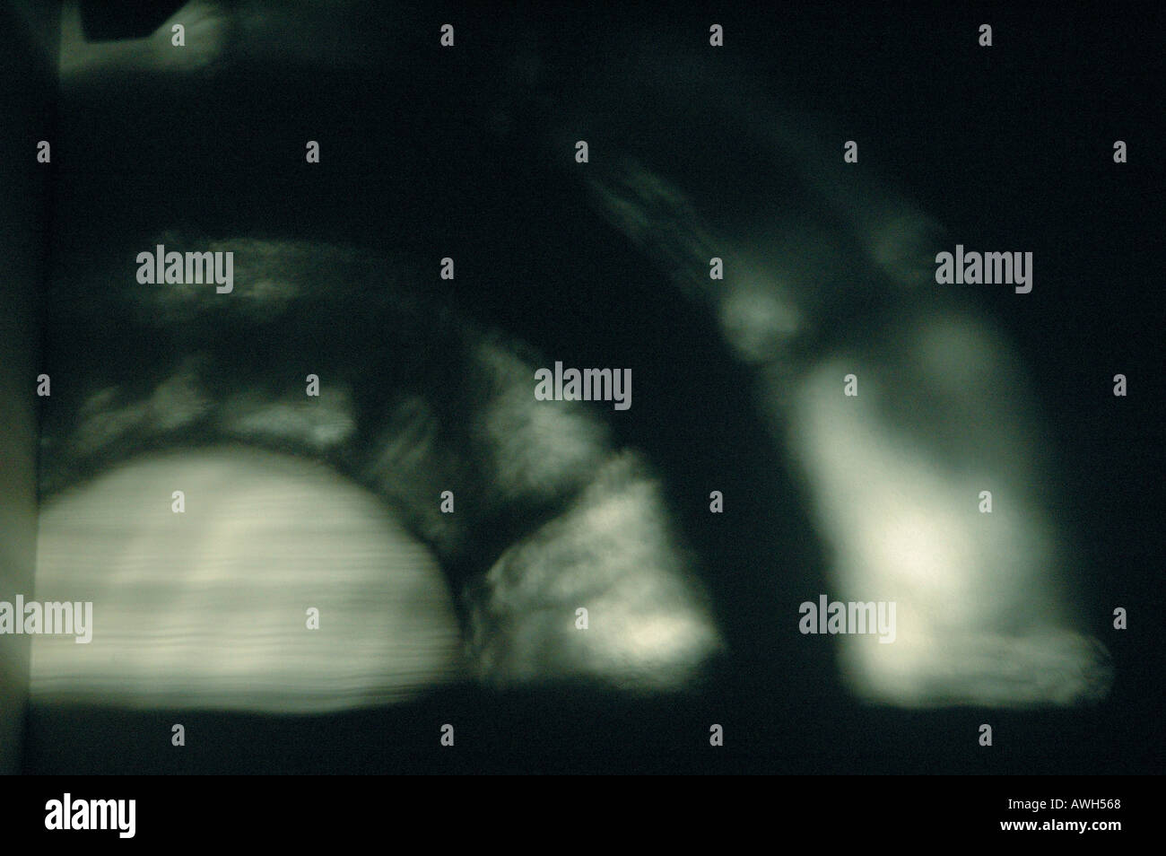 spooky shadows from old arched window dsc 7416 Stock Photo - Alamy