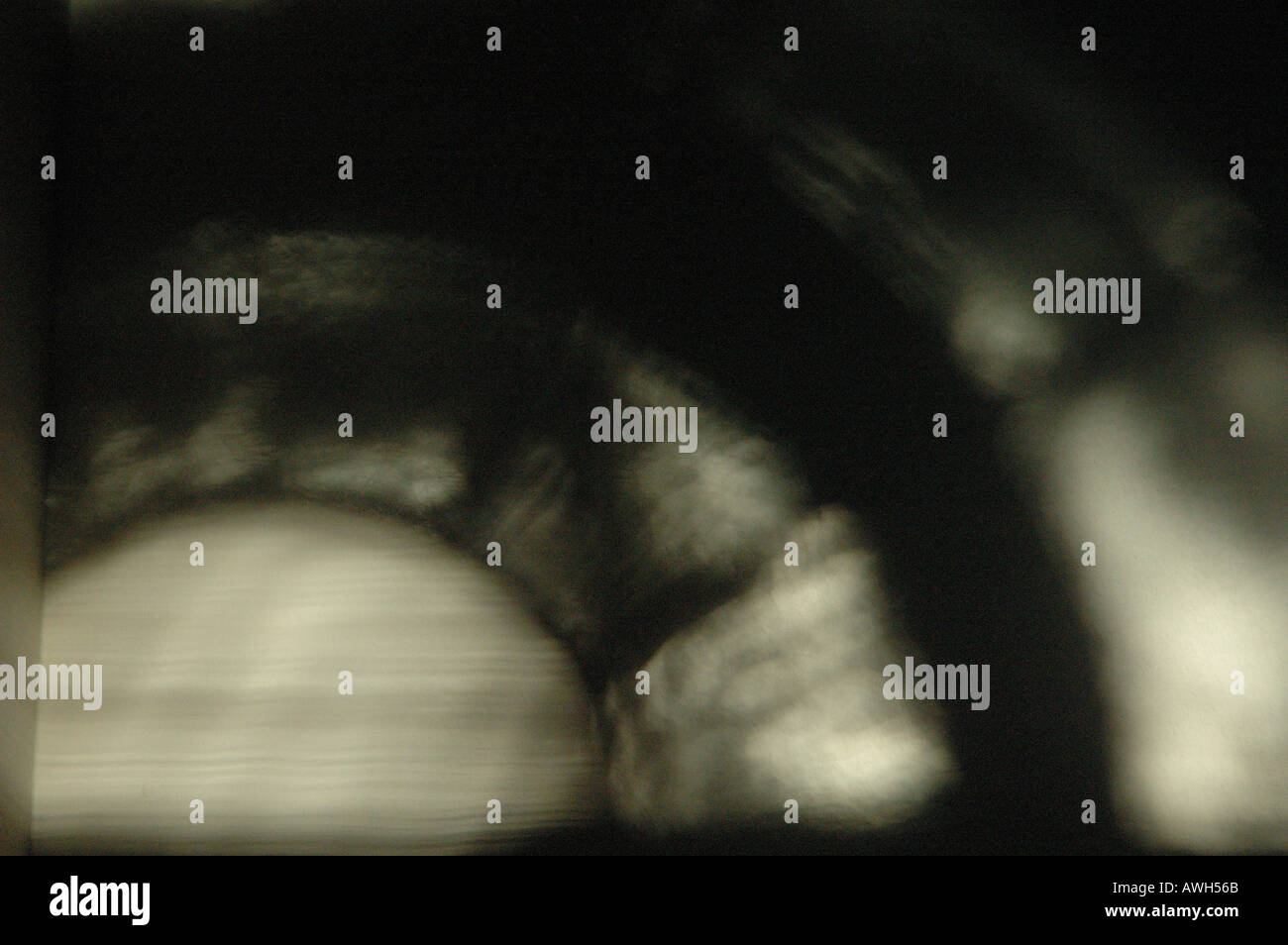 spooky shadows from old arched window dsc 7417 Stock Photo - Alamy