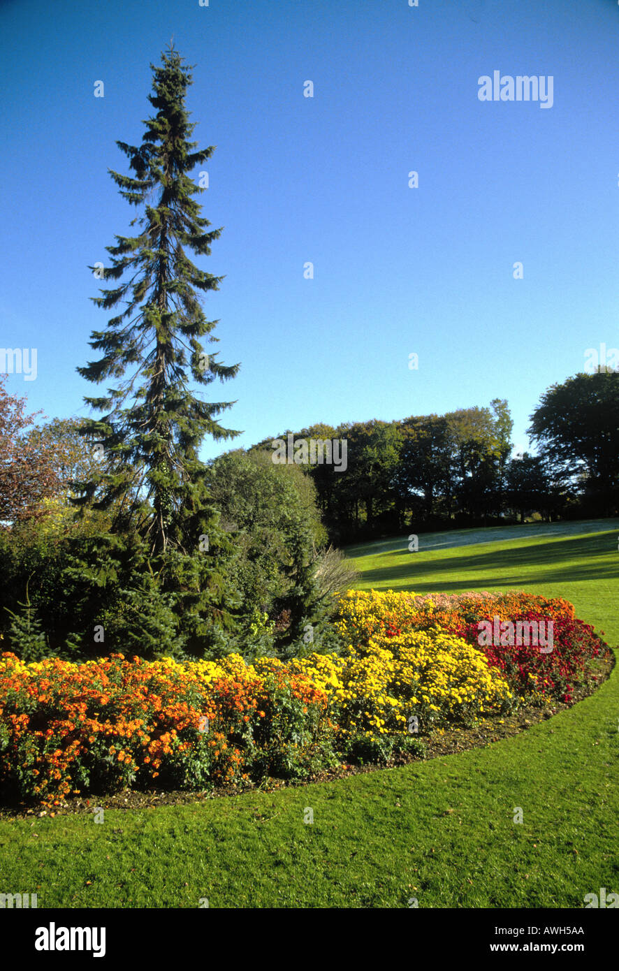 Withdean hi-res stock photography and images - Alamy