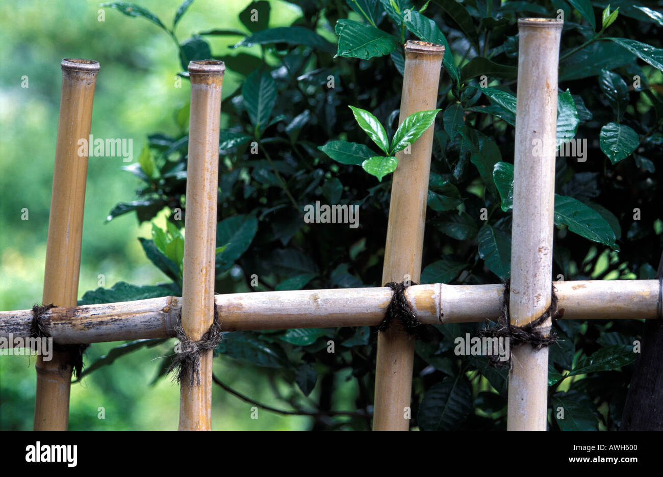 Detail fence in japanese garden hi-res stock photography and images - Alamy
