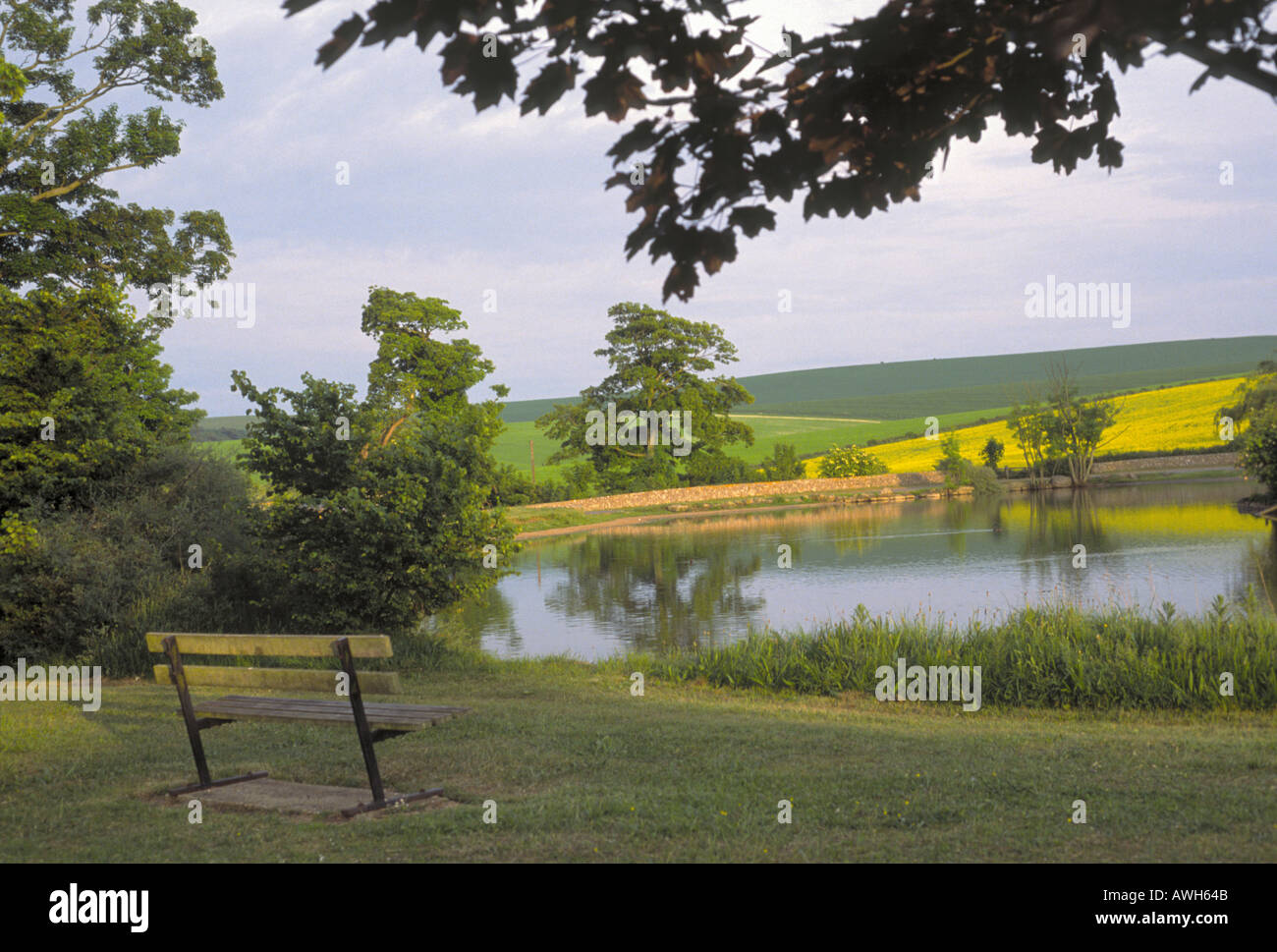 Falmer Pond High Resolution Stock Photography and Images - Alamy