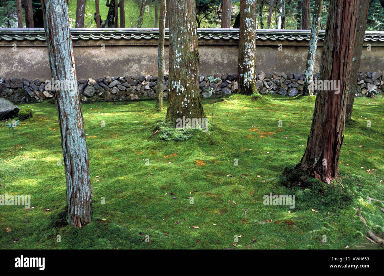 Zen garden of Saiho ji Moss Temple Kokedera Kyoto Japan Stock Photo - Alamy