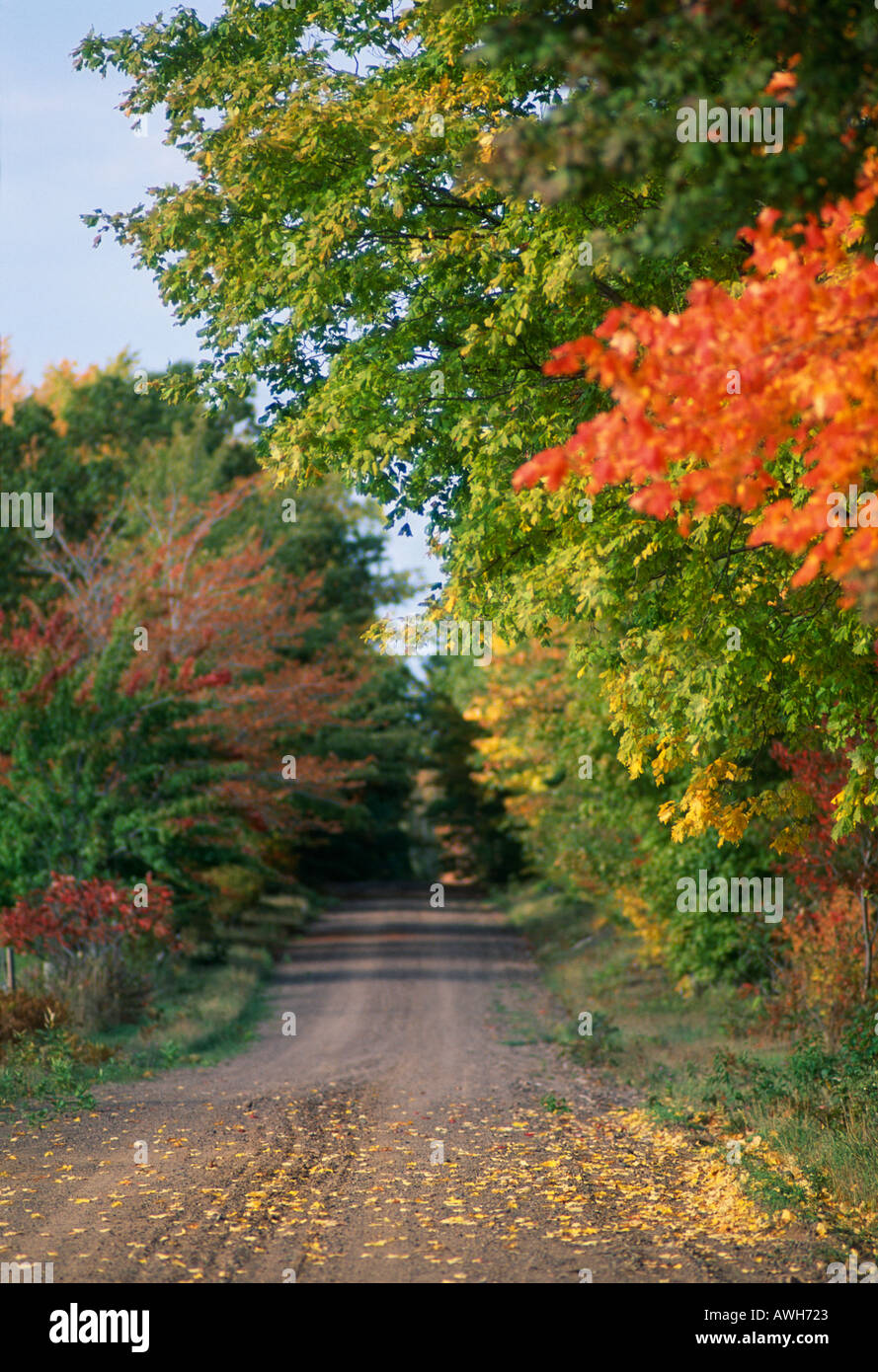 Rural minnesota dirt road hi-res stock photography and images - Alamy