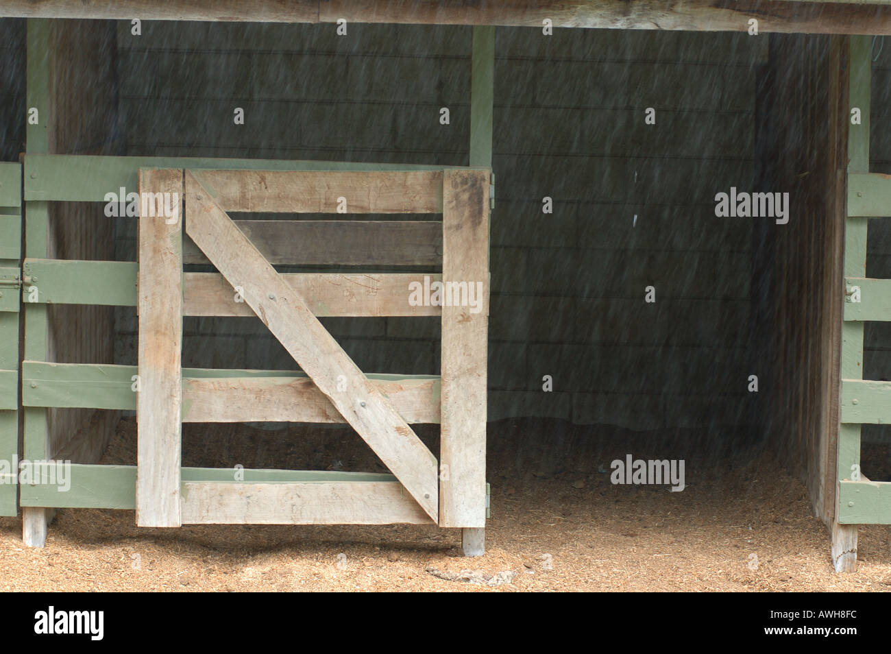 shut the gate after the horse has bolted empty horse stable open gate ...