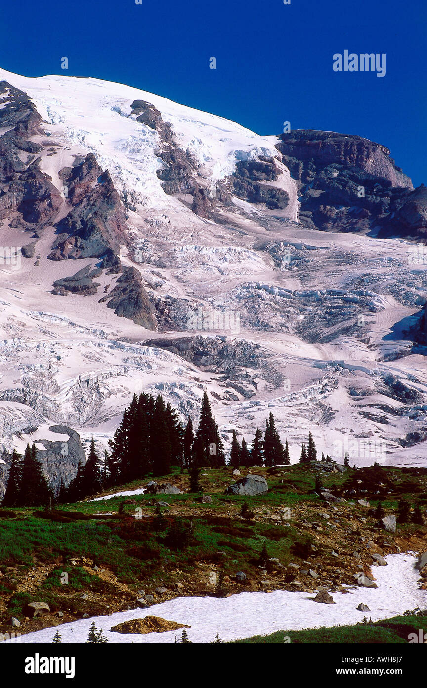 Mount rainier seen from washington hi-res stock photography and images ...