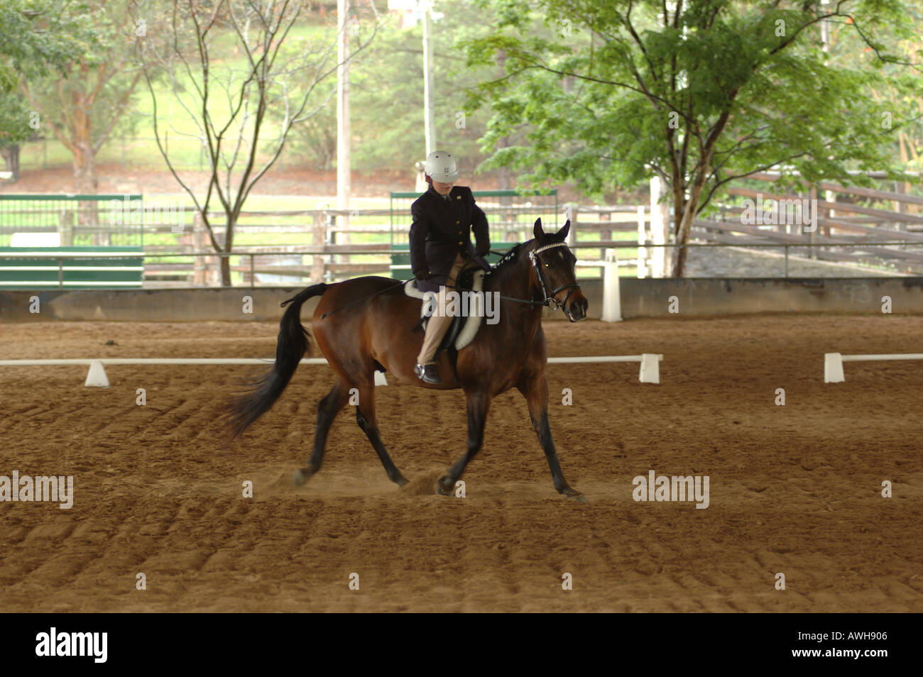 riding for the disabled dressage event Nambour Queensland Australia dsc ...