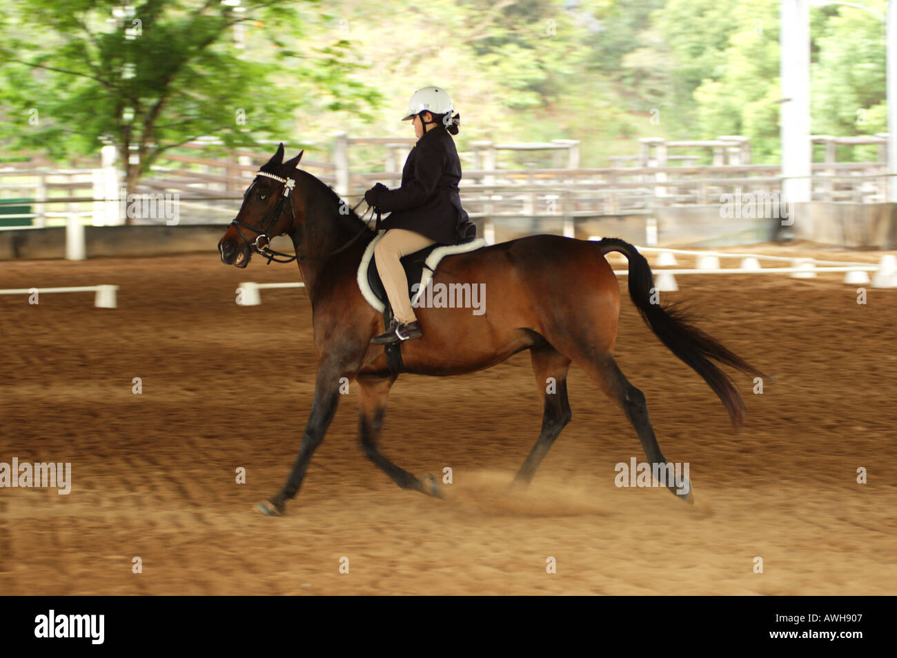 riding for the disabled dressage event Nambour Queensland Australia dsc ...