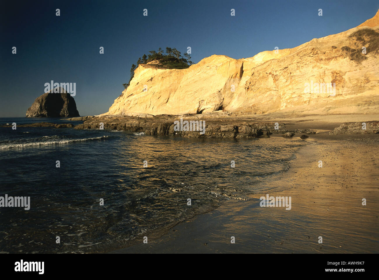 USA Pacific Northwest Oregon Cape Kiwanda waves gently rolling shore ...