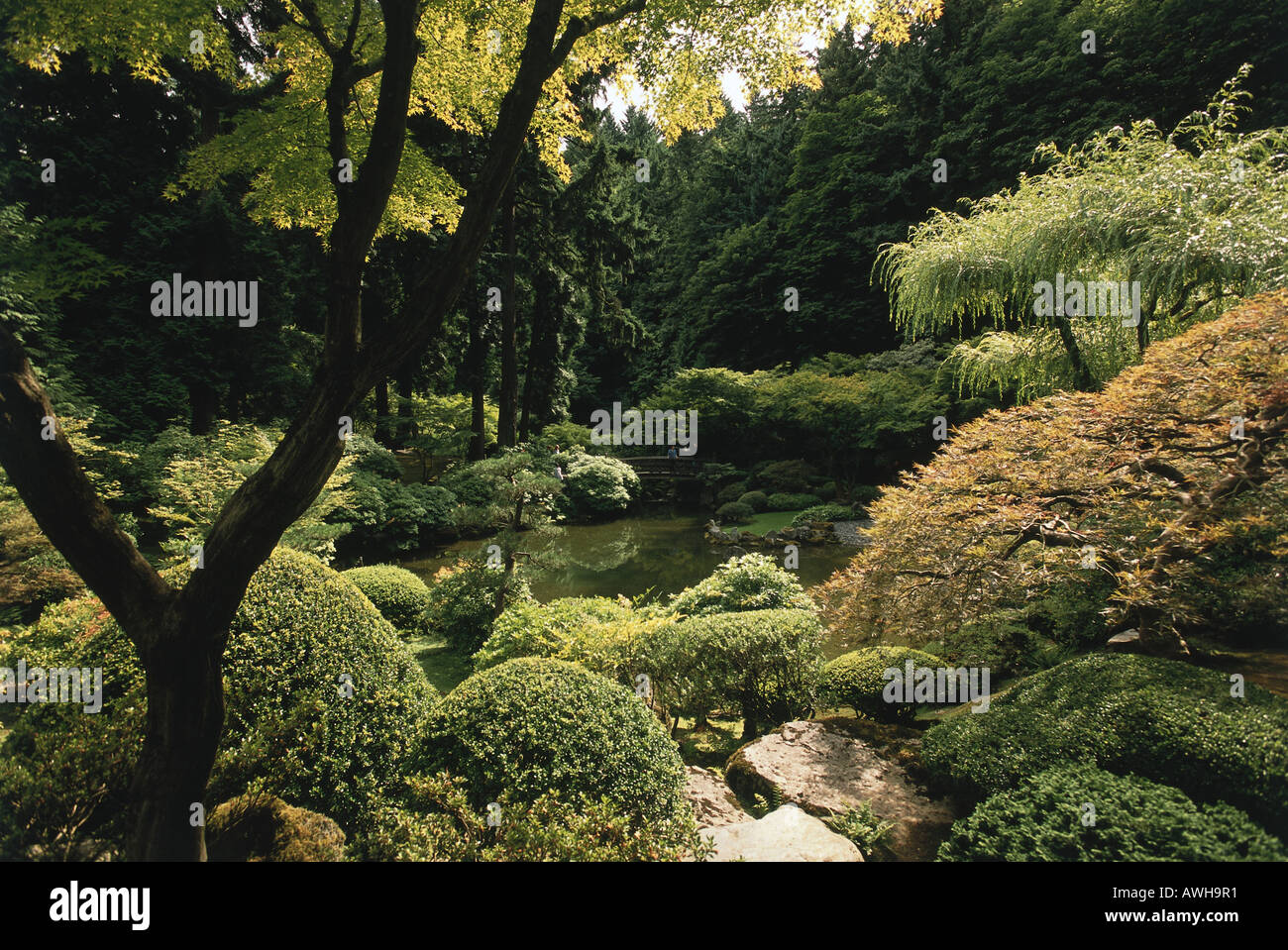 Designed by japanese landscape architect takuma tono hi-res stock ...