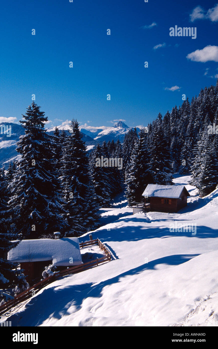 Wildschonau hi-res stock photography and images - Alamy