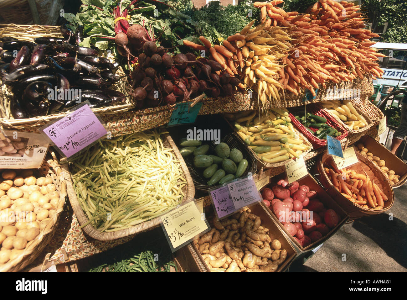 Portland park blocks hi-res stock photography and images - Alamy