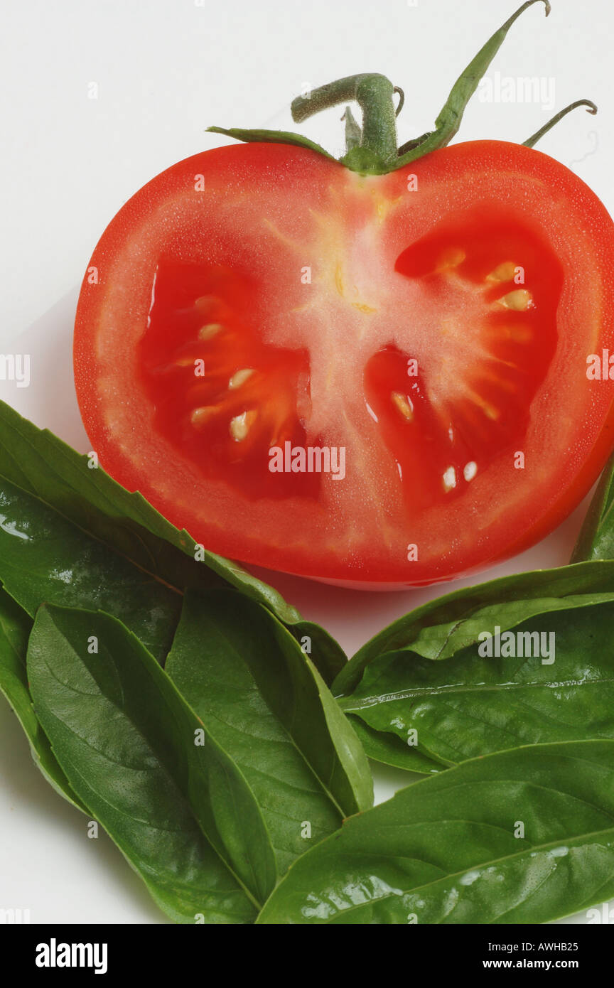 red white and green tomato basil and plate italian colours dsc 9601 ...