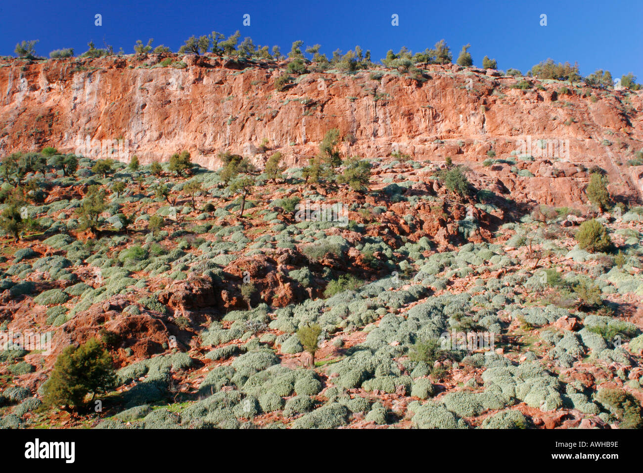 Morocco Central Morocco The Ouzoud Gorge The hills of the gorges of ...