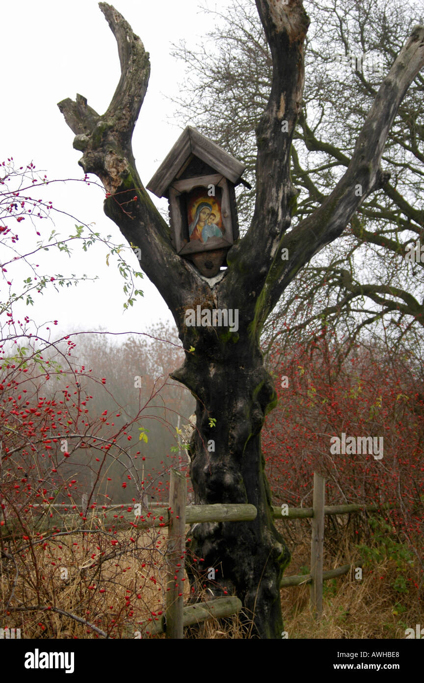 Virgin Mary shrine on a tree Stock Photo - Alamy