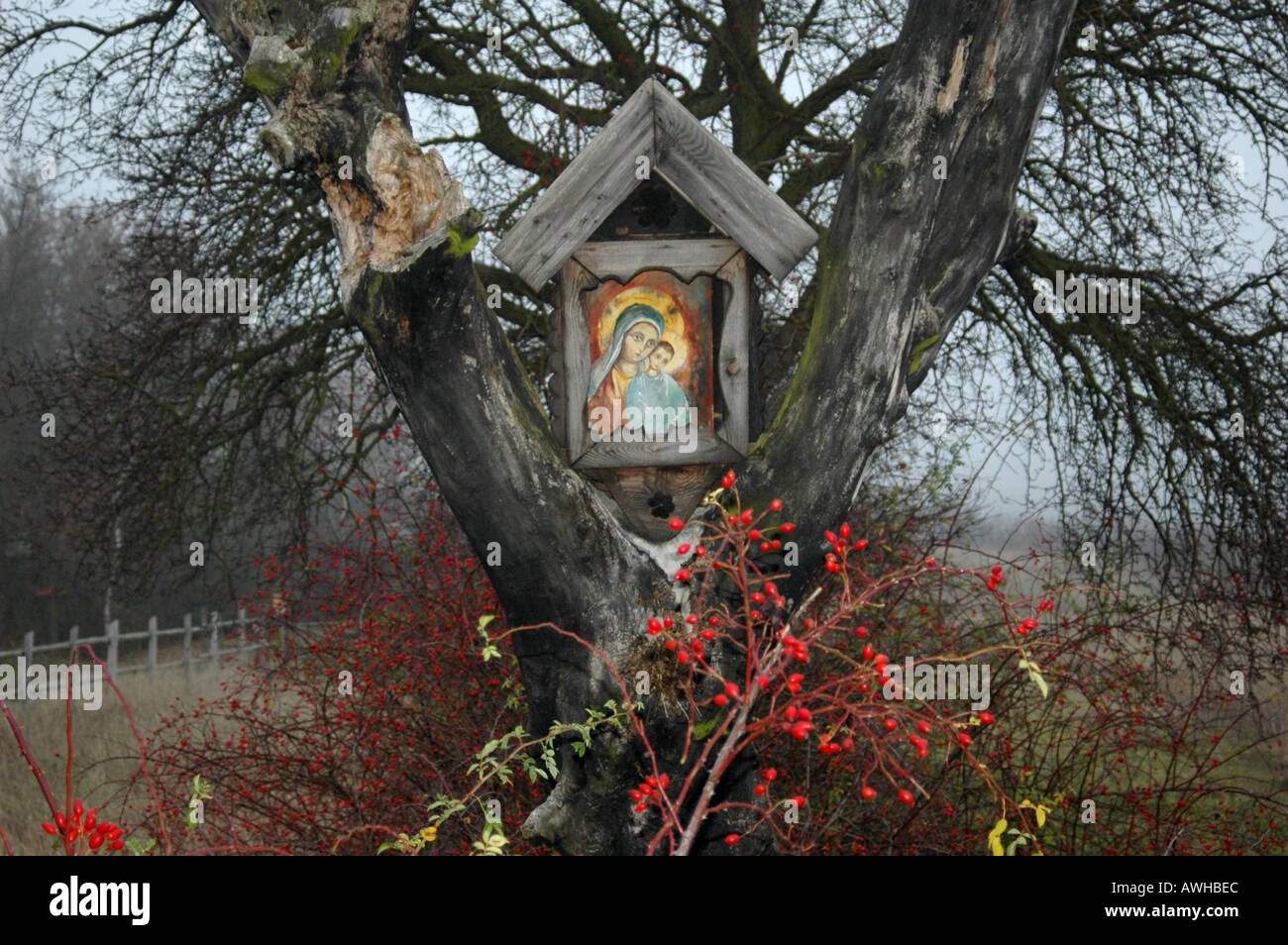 Virgin Mary shrine on a tree Stock Photo - Alamy