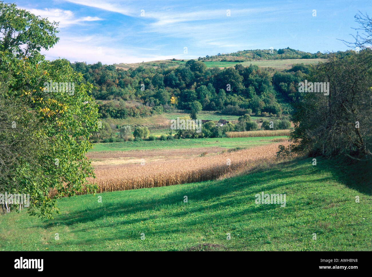 Croatia, Slavonia, Slavonski Brod, agricultural countryside surrounding ...