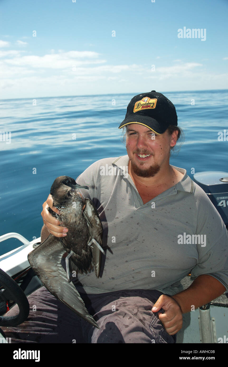 Shearwater fishing hi-res stock photography and images - Alamy