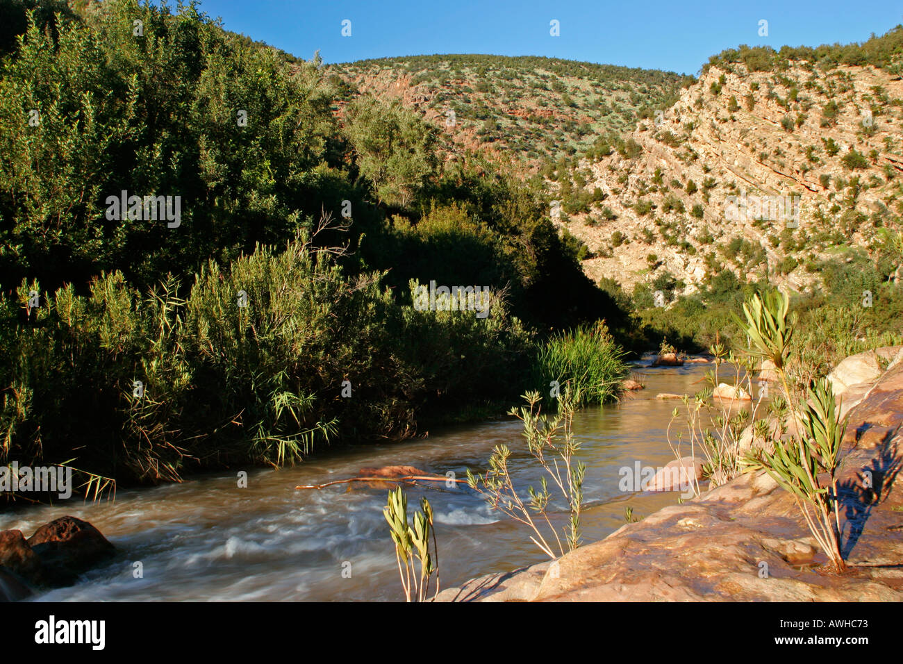 Morocco Central Morocco The Ouzoud Gorge The flowing waters of the ...