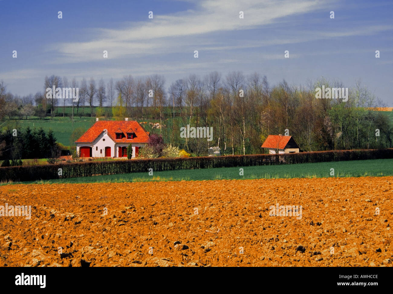 Agincourt azincourt battle france hi-res stock photography and images ...