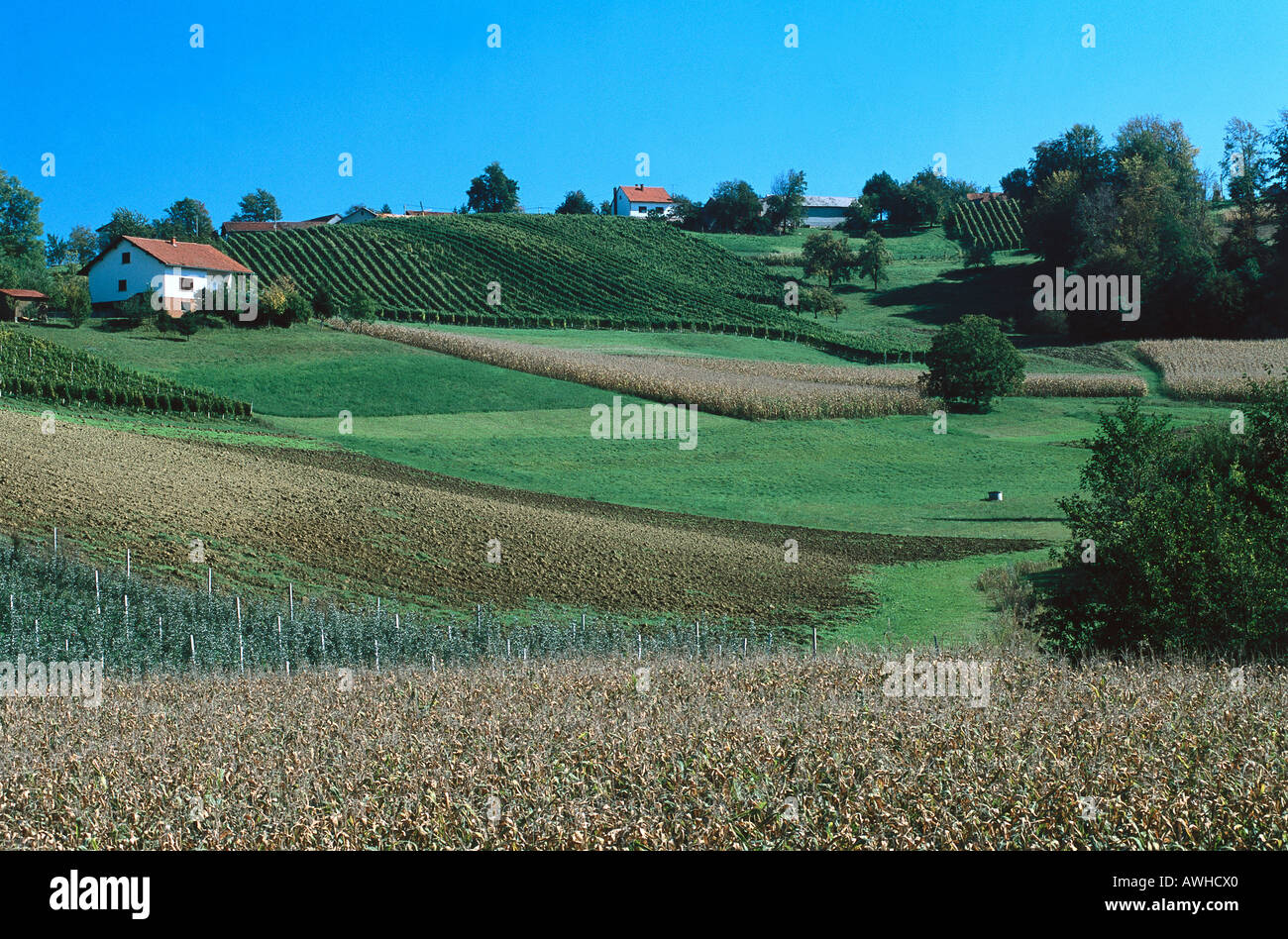 Croatia, Northern Counties, Zagorje, houses overlooking vine-covered ...