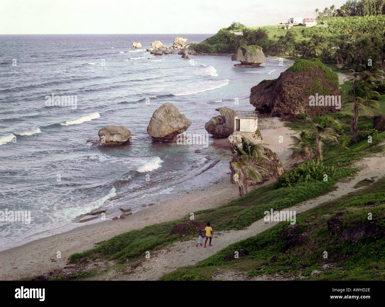 Bathsheba Beach Barbados Stock Photo - Alamy