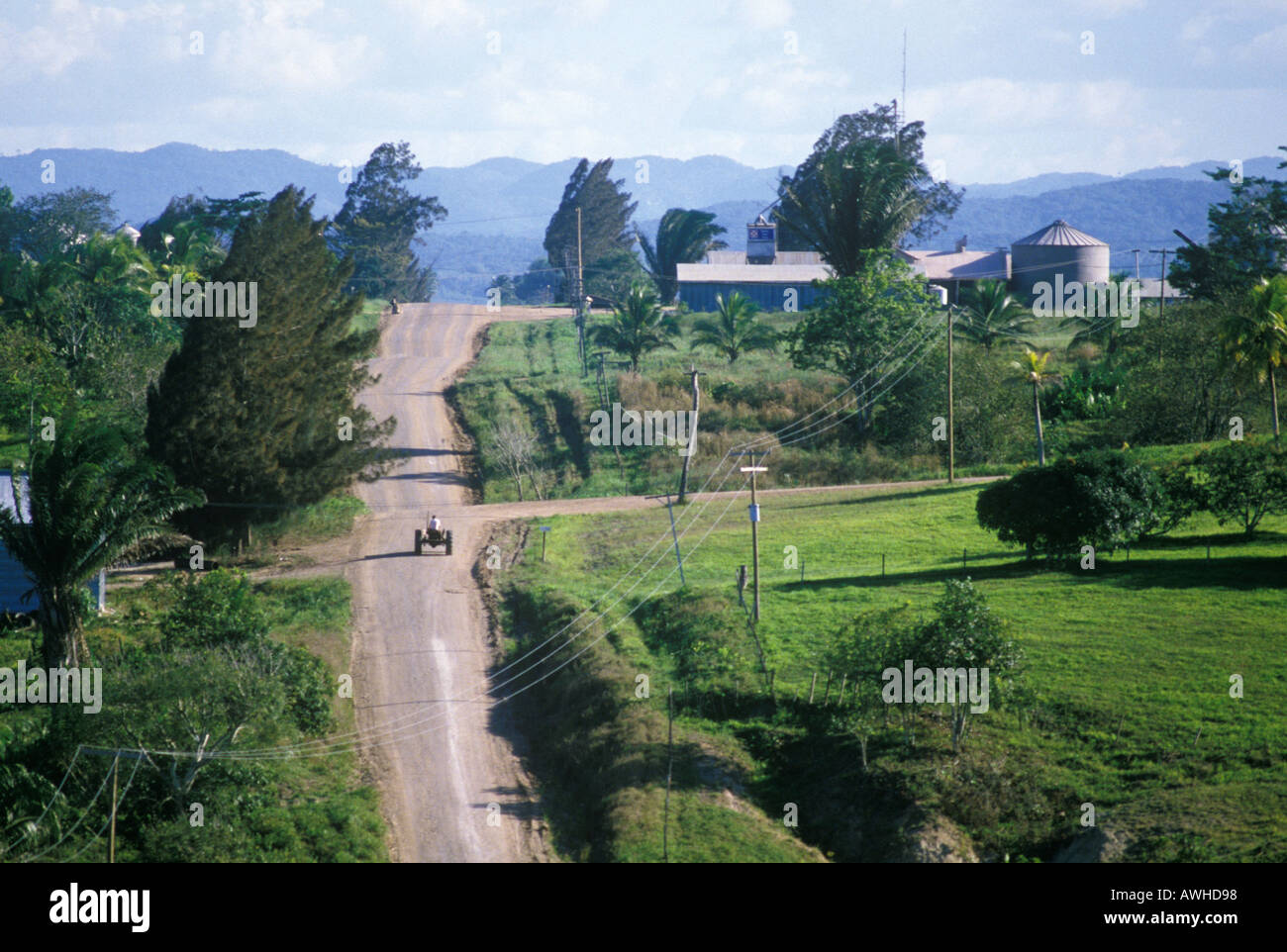 Farm Land owned by the Mennonites in Spanish Lookout Belize Central ...