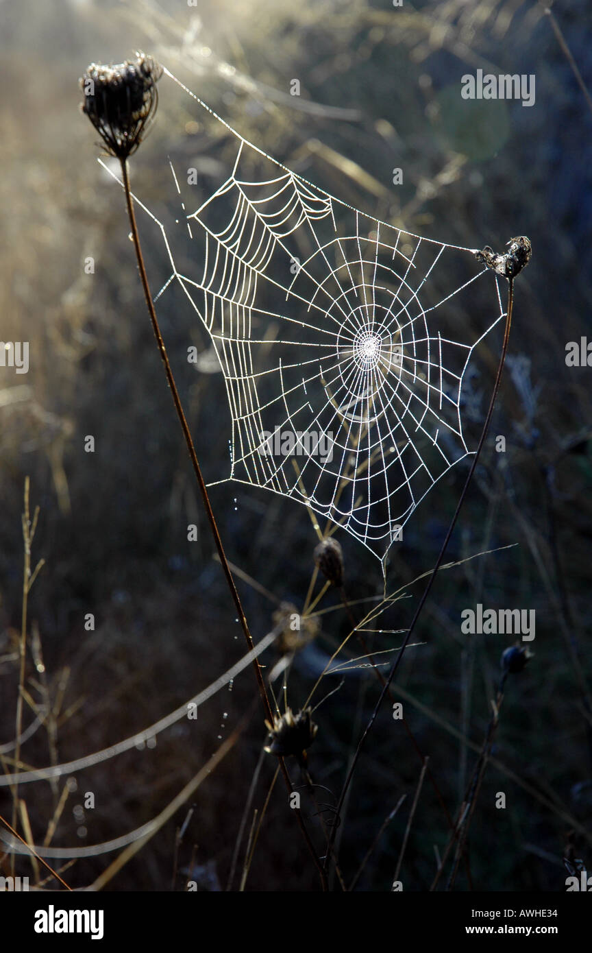 Early morning sun highlights hi-res stock photography and images - Alamy