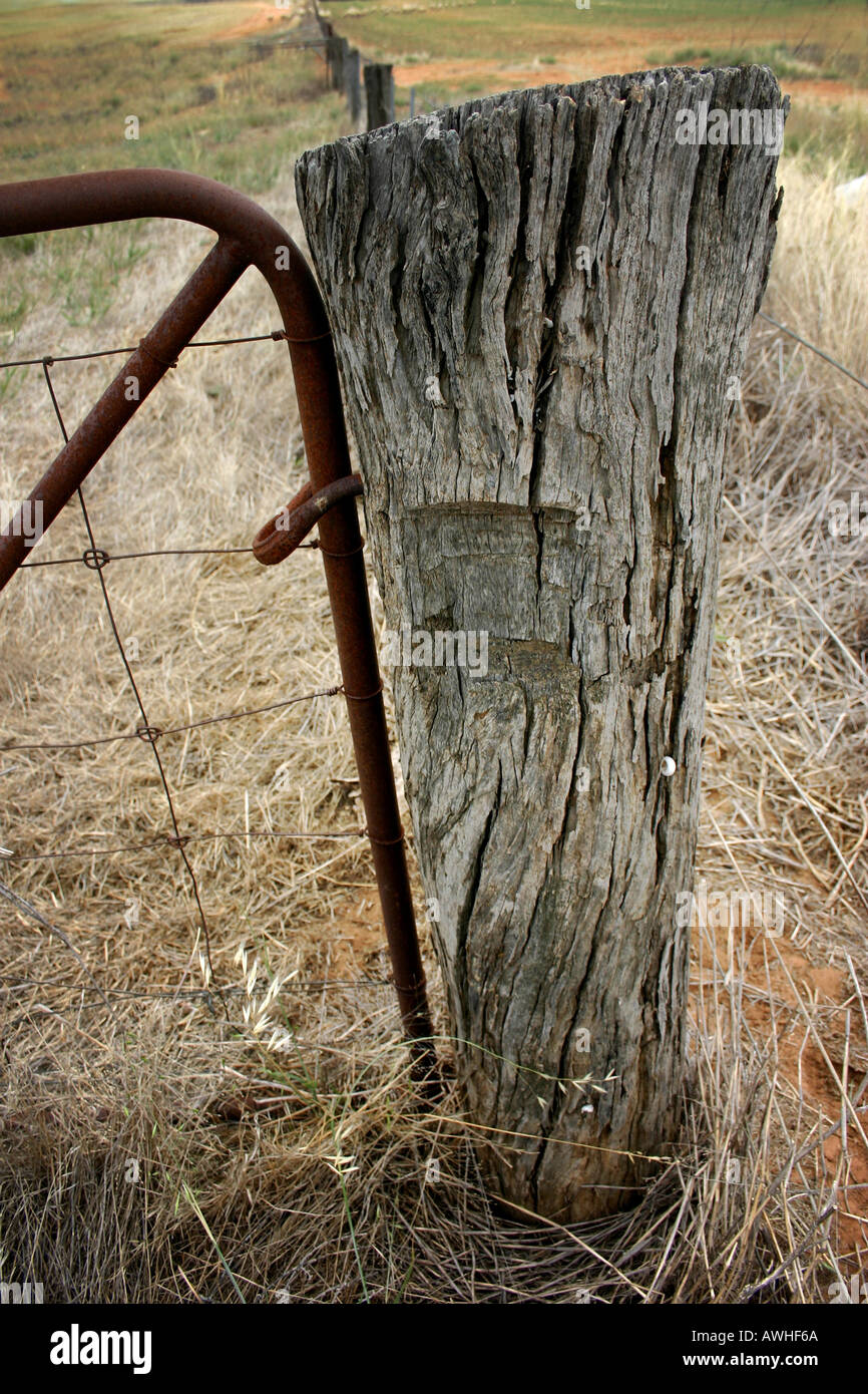 Mallee Gate Stump Stock Photo - Alamy
