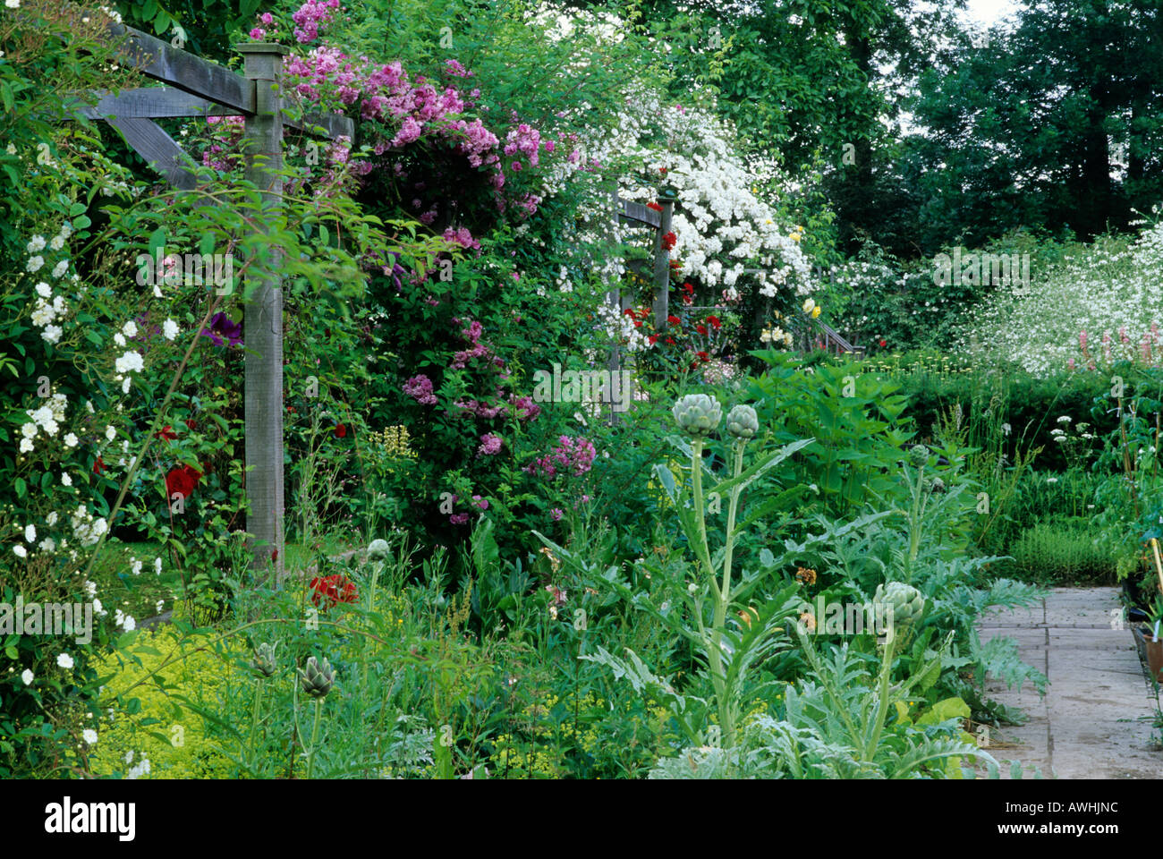 Climbing roses supporting frame hi-res stock photography and images - Alamy